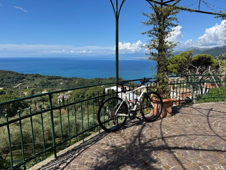 Trek Domane AL 4 Gen 4 2026 2026