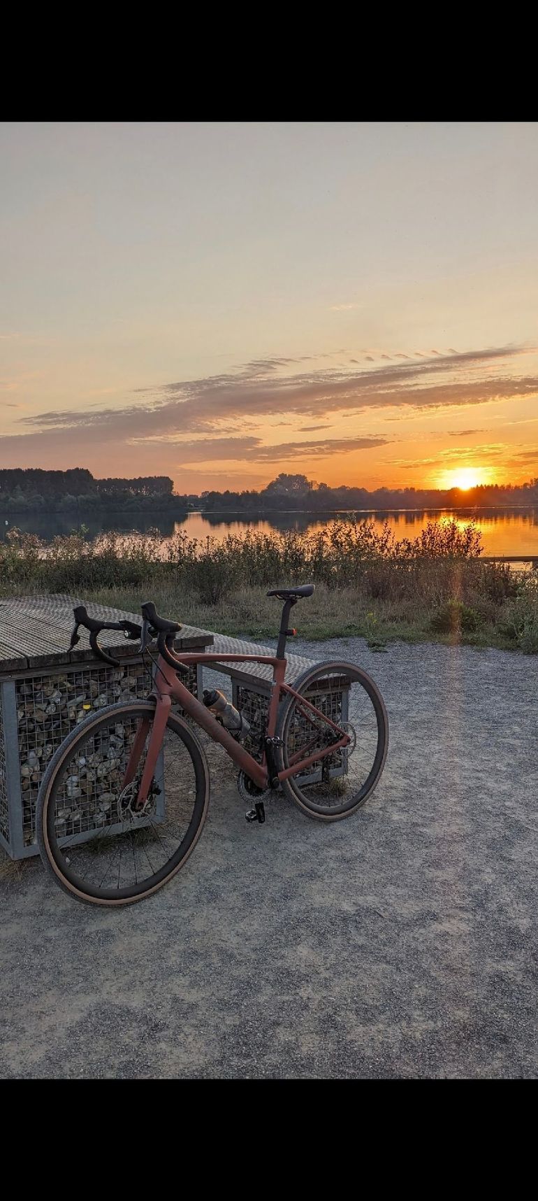 Specialized Roubaix SL8 Expert - SRAM Rival eTAP AXS 2025 2025