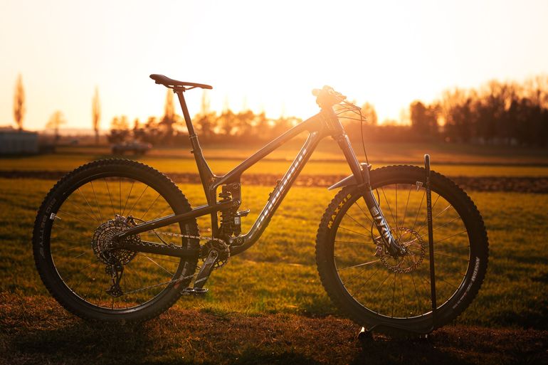 Propain Propain Tyee CF 29 2021