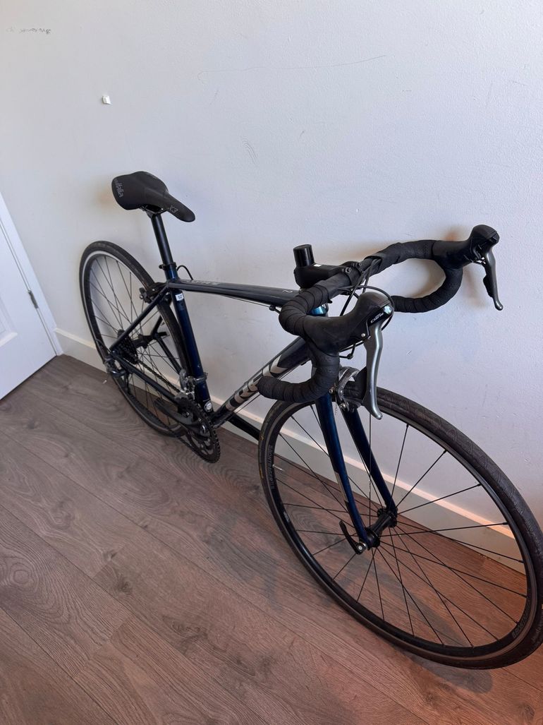 Trek Domane AL 2 2021 2021