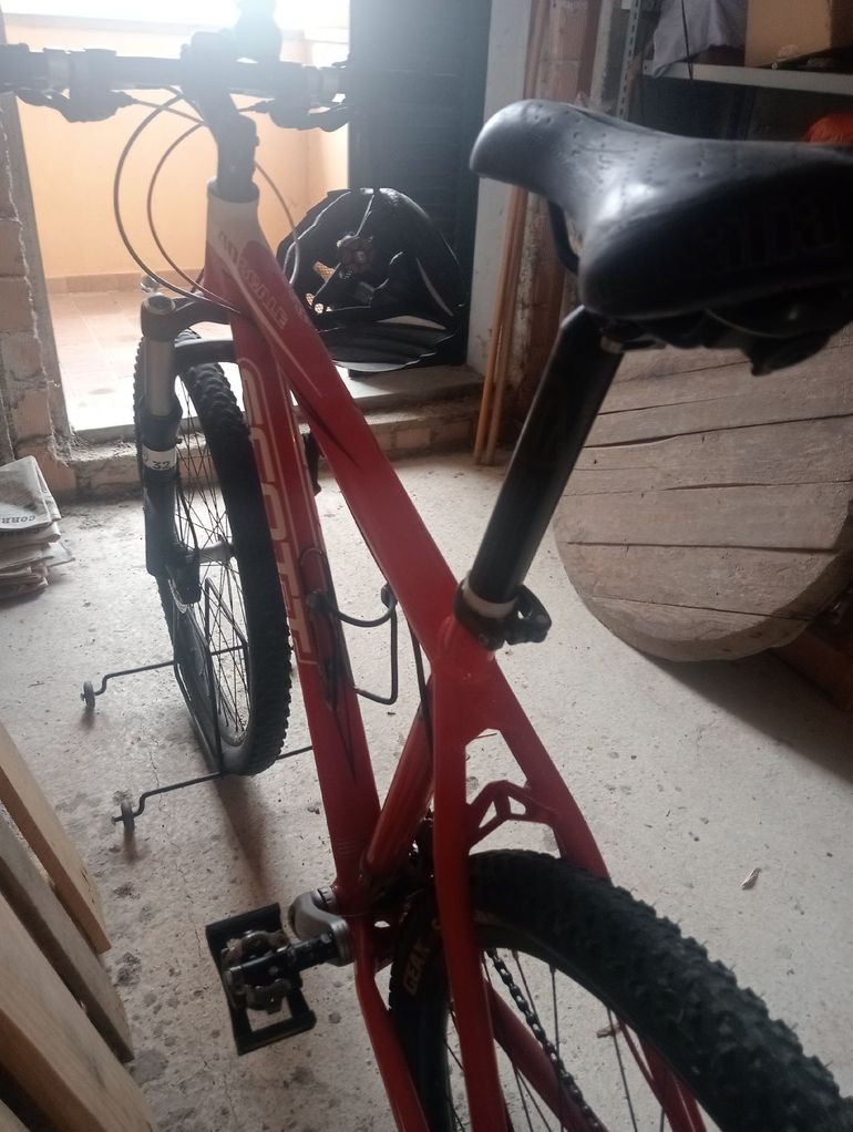 Scott Scott Scale 40 2008