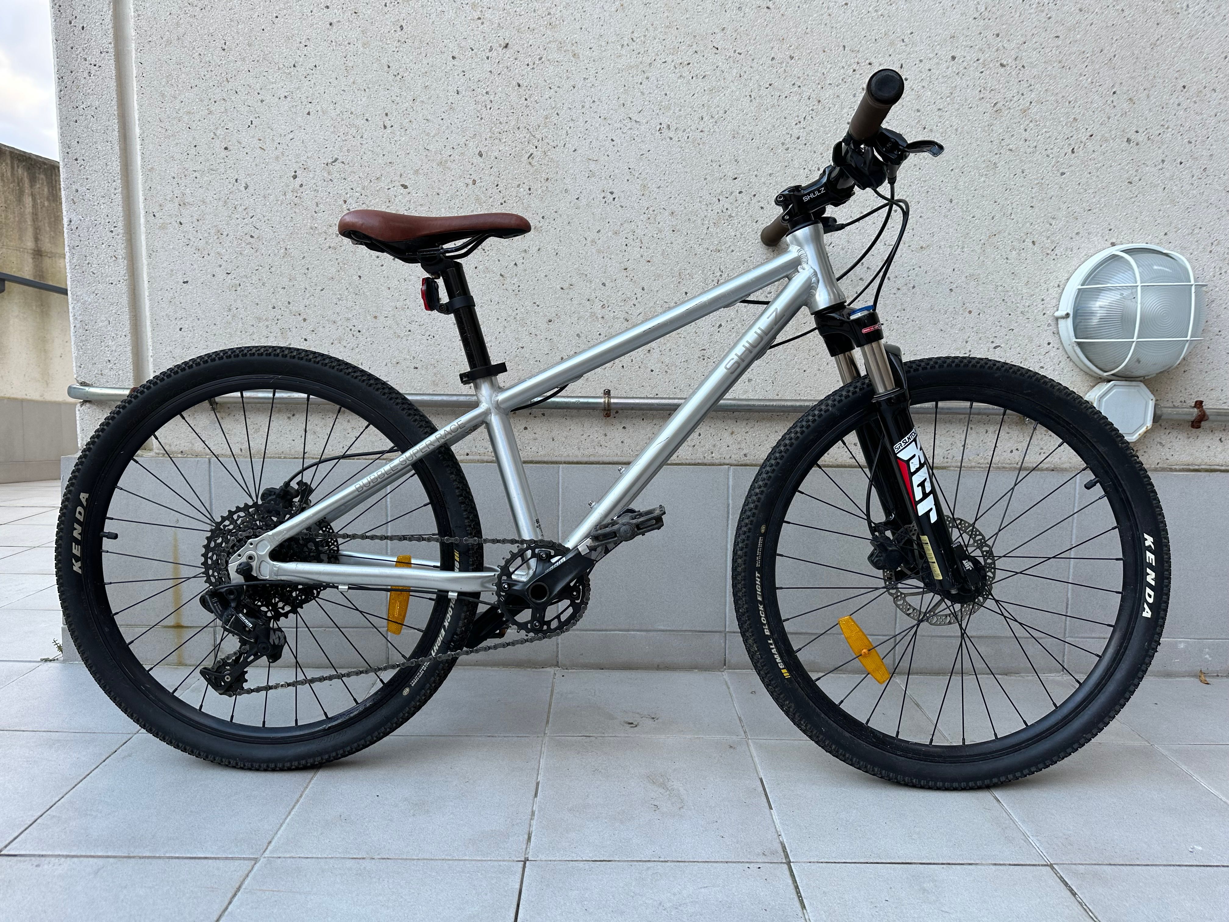 Shulz Bubble Super Race 2020