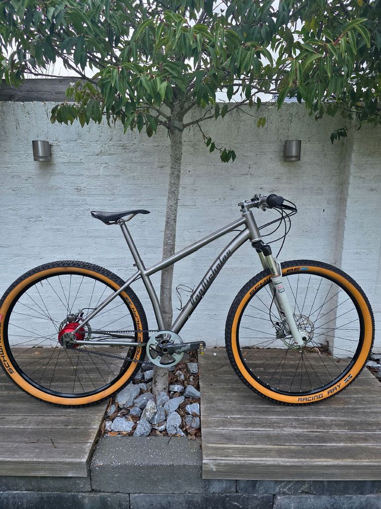 Van Nicholas Zion 29 Er Rohloff Speedhub 14-spd belt 2025 2025