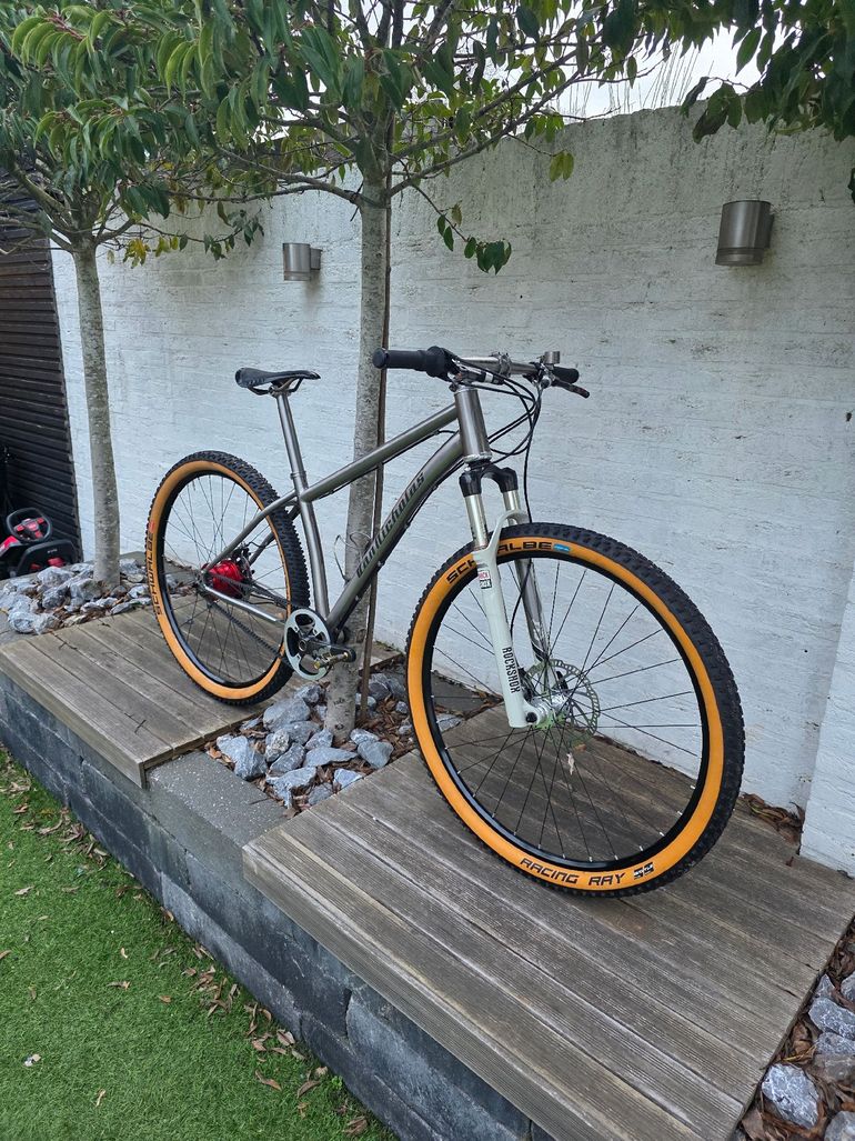 Van Nicholas Zion 29 Er Rohloff Speedhub 14-spd belt 2025 2025