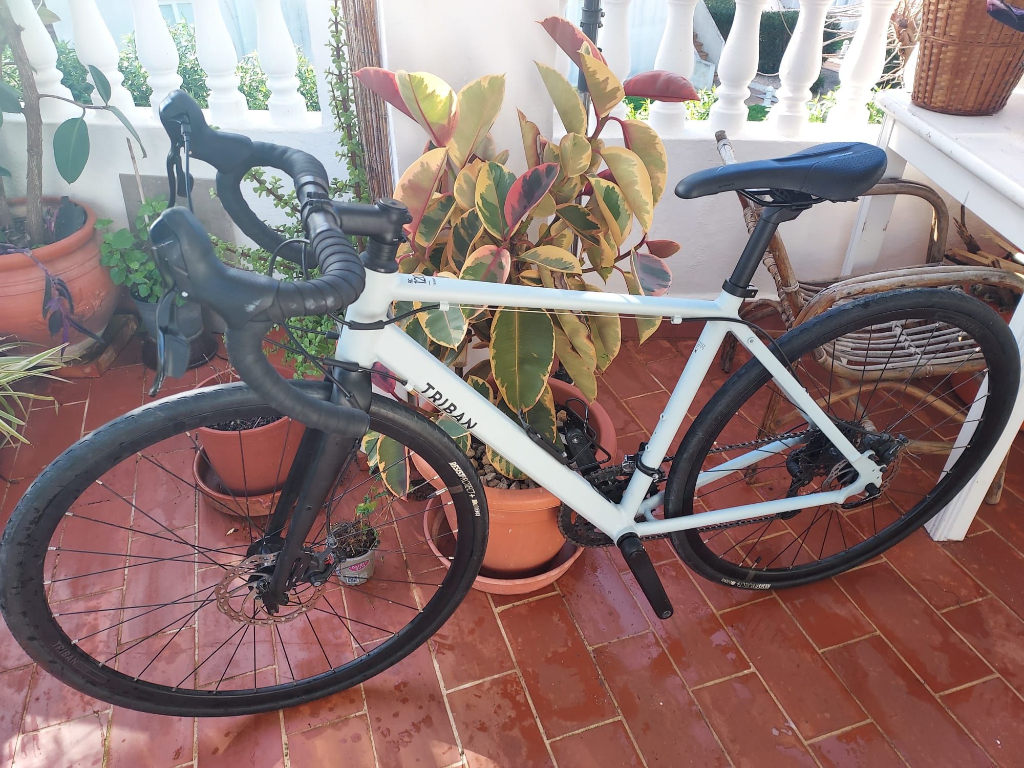 TRIBAN Rc 120 Women's Disc Microshift 2025 2025