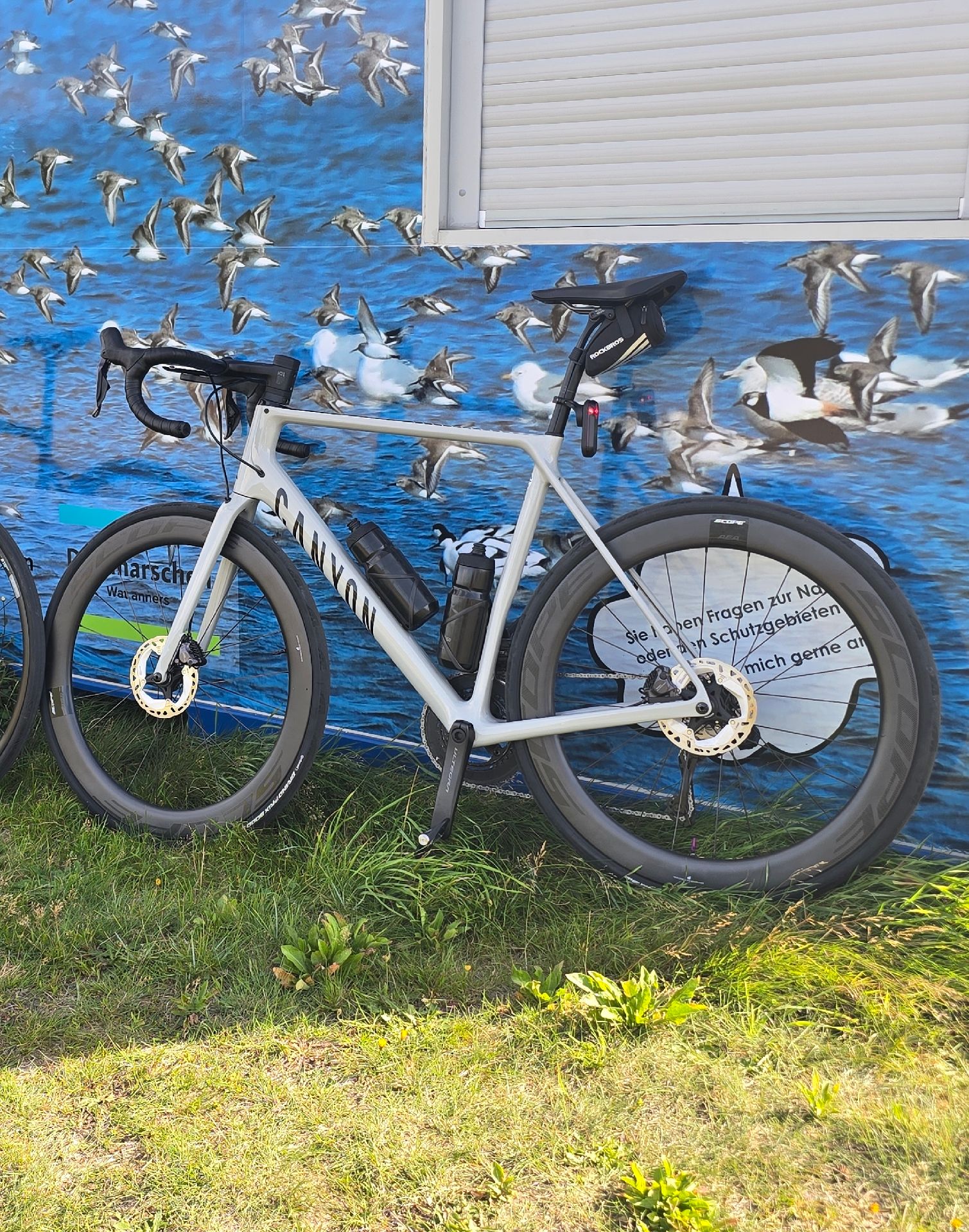 Canyon Endurace Shimano Ultegra Di2 2022