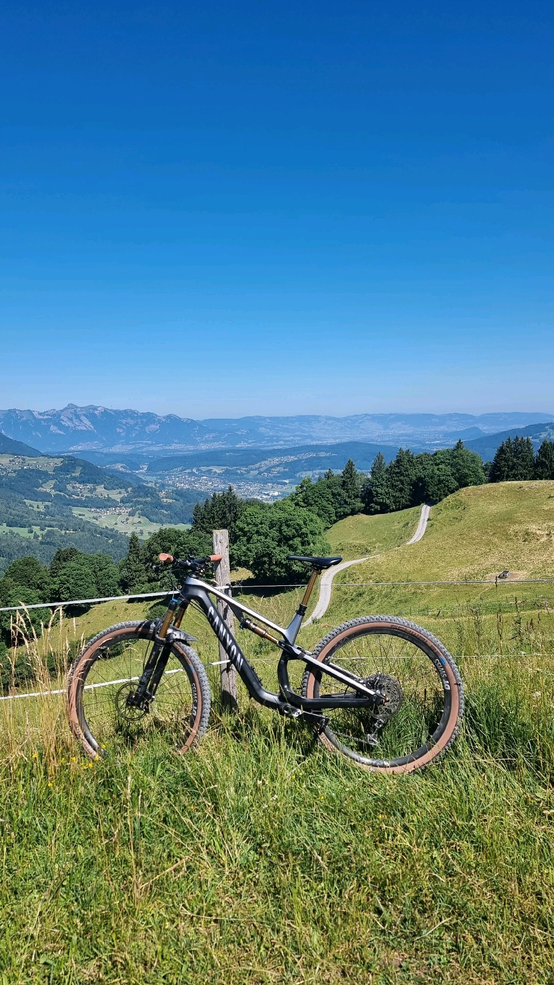 Canyon Neuron CF 9.0 LTD gebraucht kaufen M | buycycle