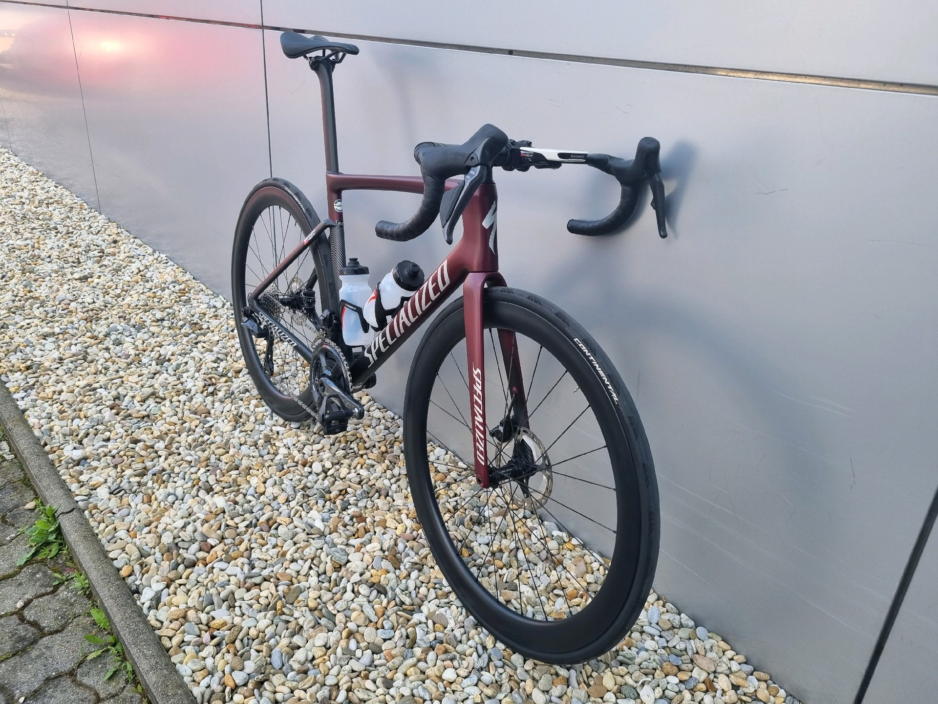 Specialized Tarmac SL7 Expert gebruikt in 56 cm | buycycle