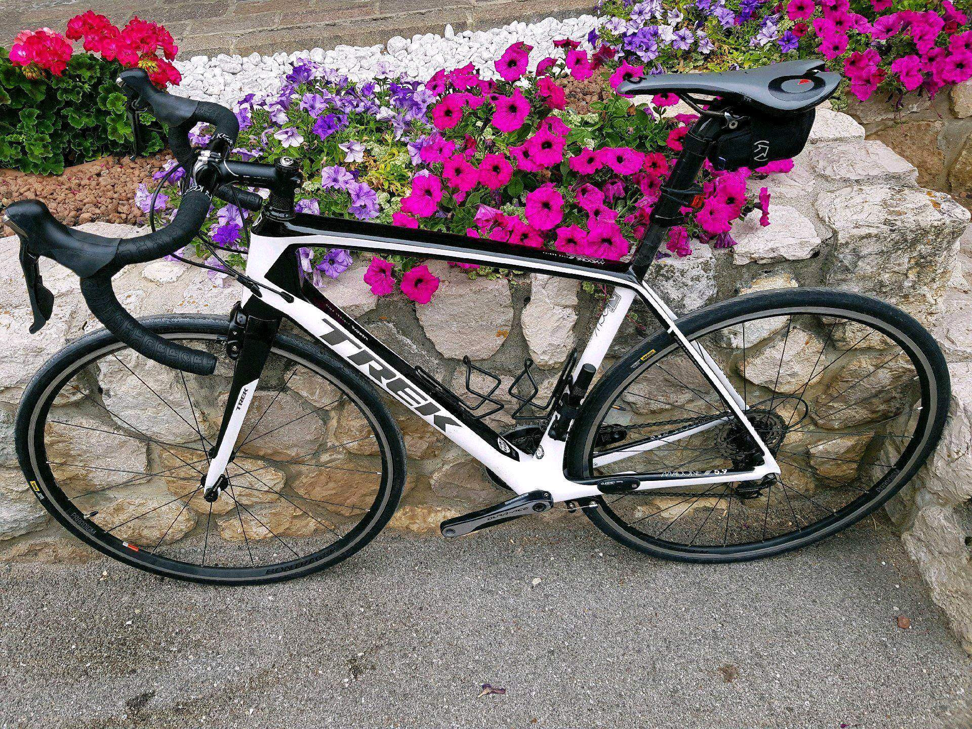 Trek Madone 5.9 H2 Compact Dura-Ace used in L | buycycle