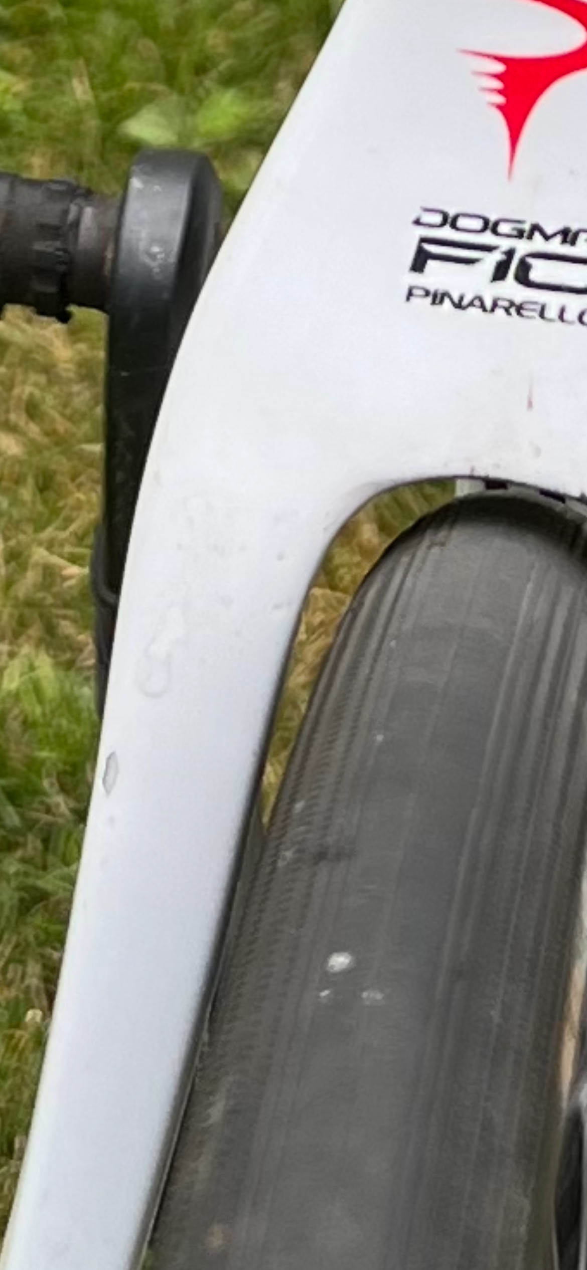 Pinarello DOGMA F10 used in M | buycycle