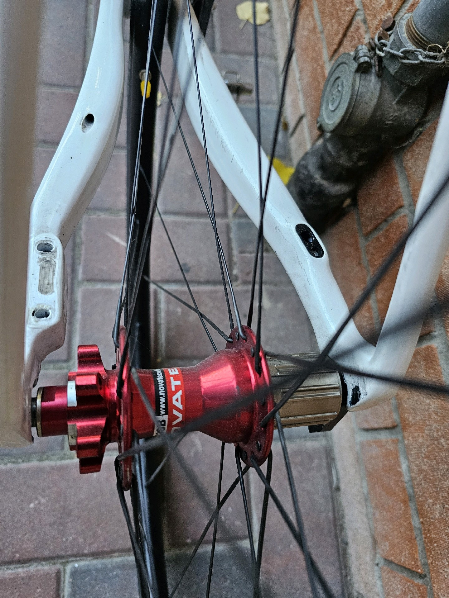 Canyon Endurace CF 7 eTap used in 55 cm | buycycle