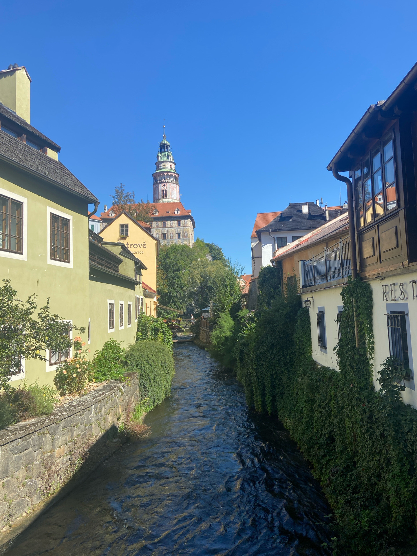 Canyon Stoic 3 used in XL | buycycle