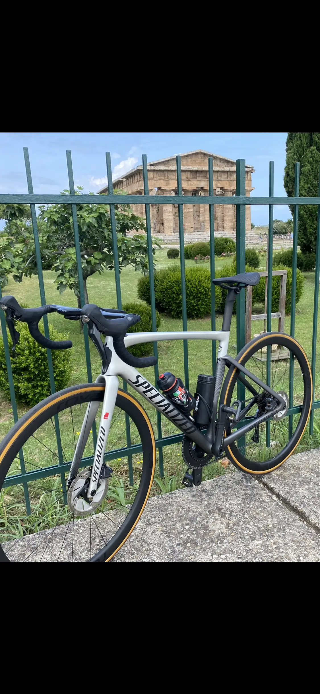 Specialized Tarmac SL7 Expert gebruikt in 54 cm | buycycle