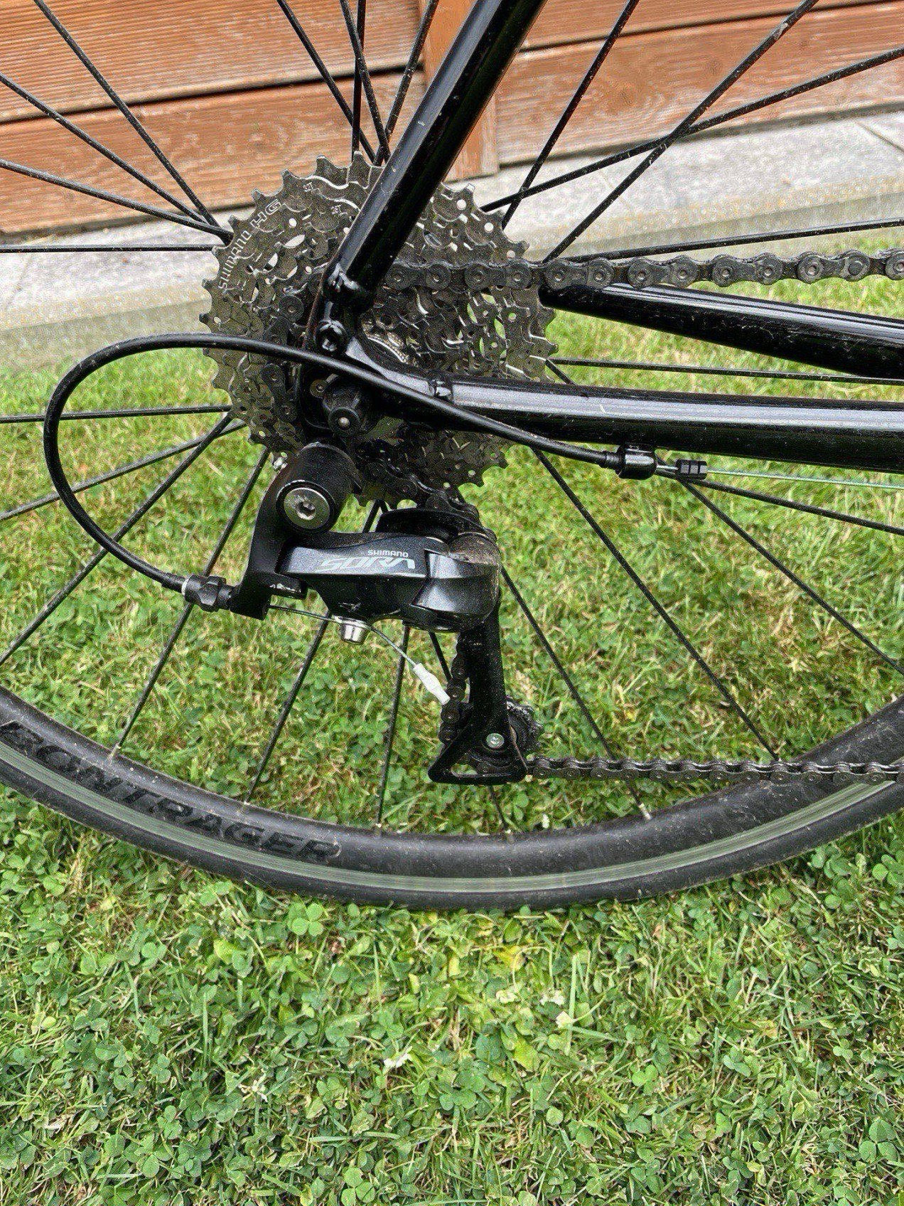 Trek Domane AL 2 Disc used in XL | buycycle