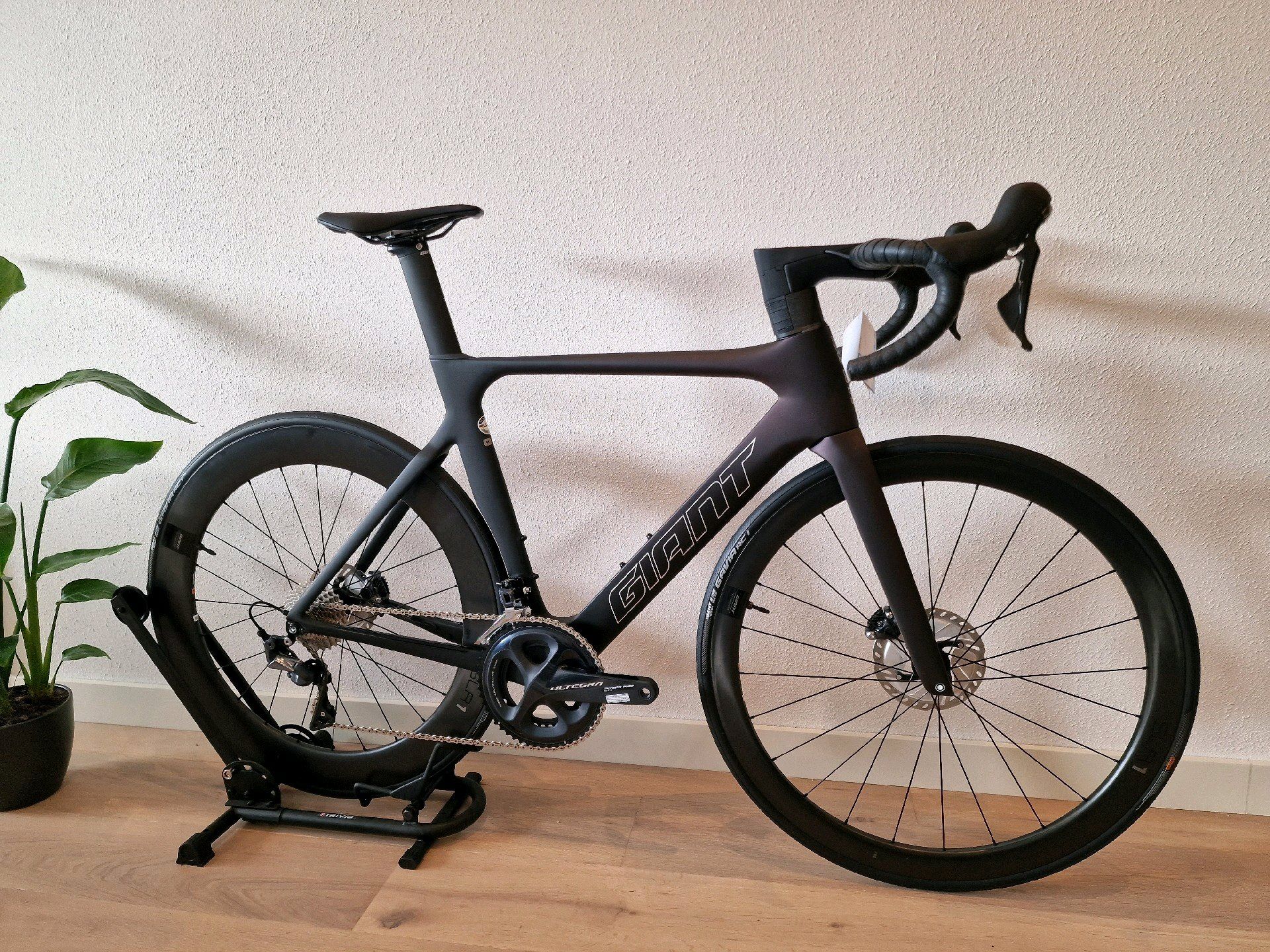 Giant Propel Advanced Pro 1 Disc gebraucht kaufen MD | buycycle