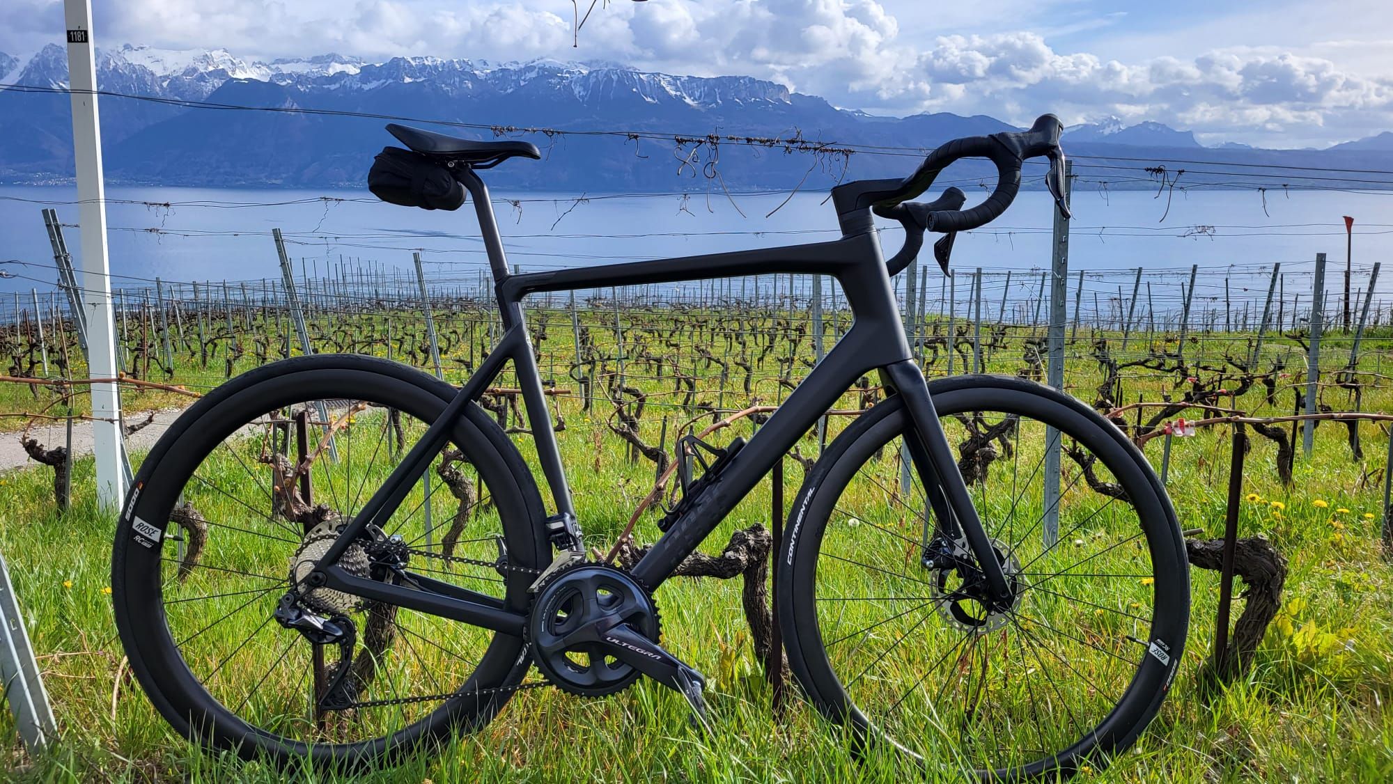 Rose REVEAL SIX DISC Ultegra Di2 used in 61 cm | buycycle USA