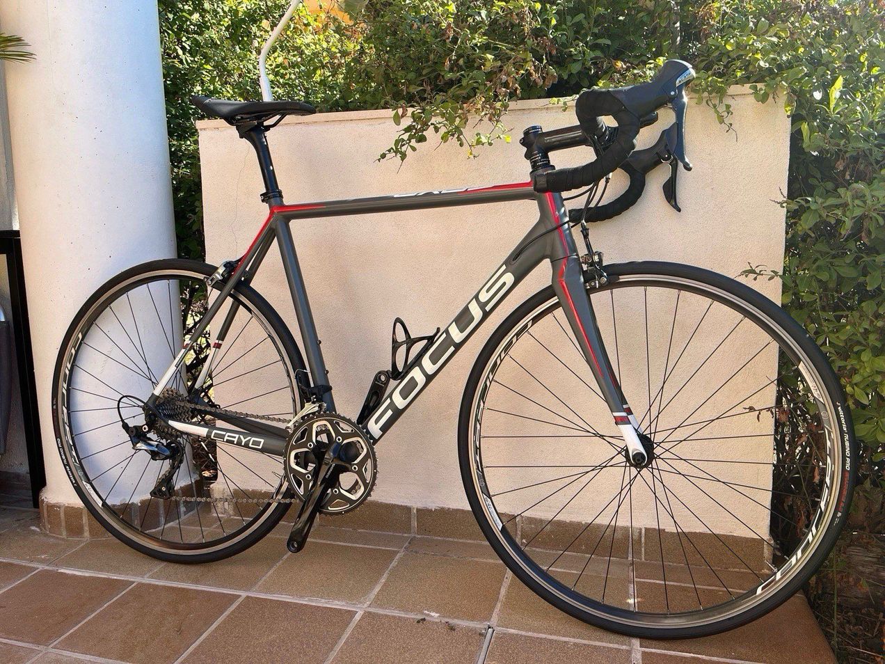Focus Cayo AL Disc 105 used in 56 cm | buycycle