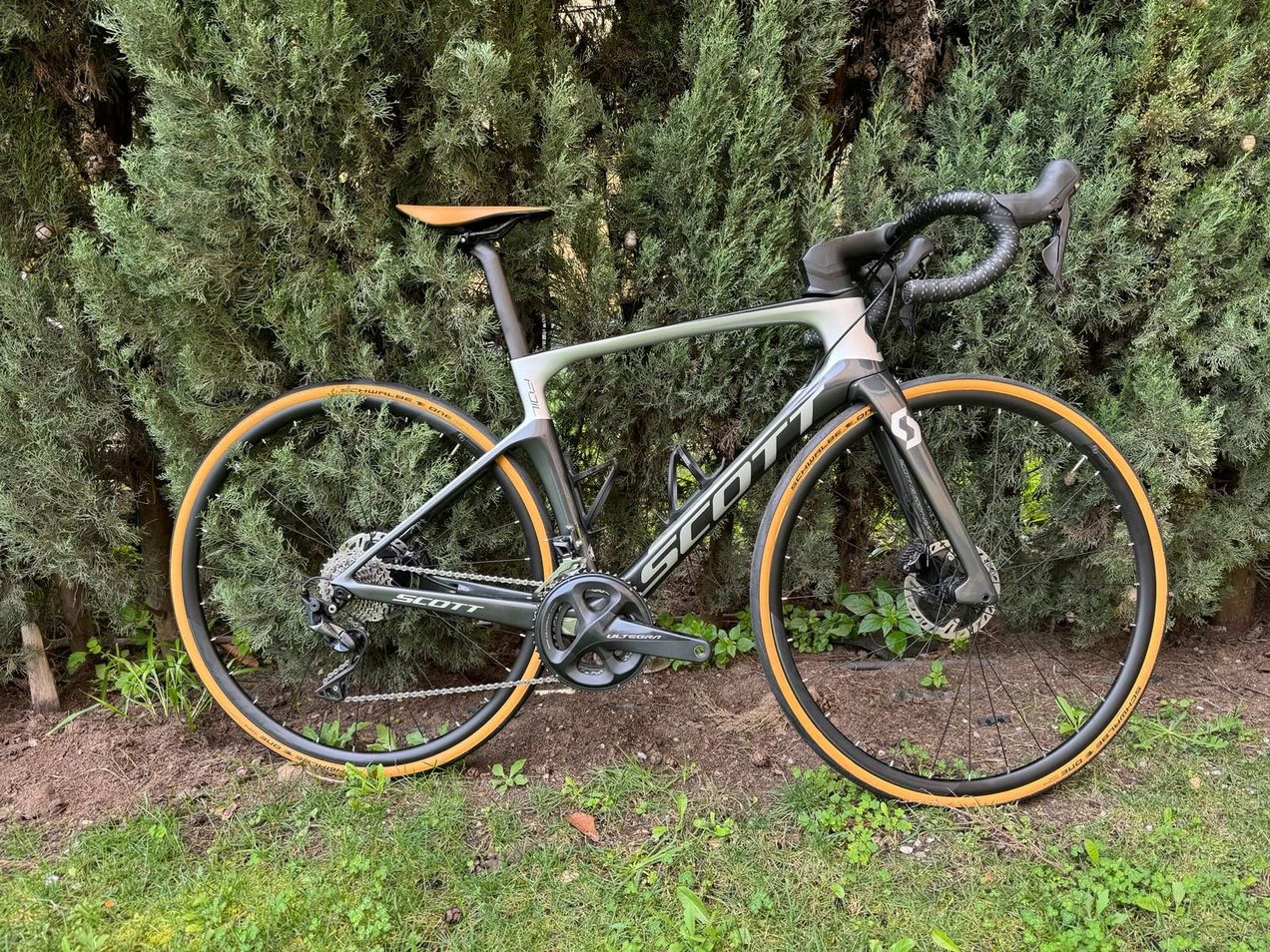 Scott Foil 20 disc silver/black used in 52 cm | buycycle USA