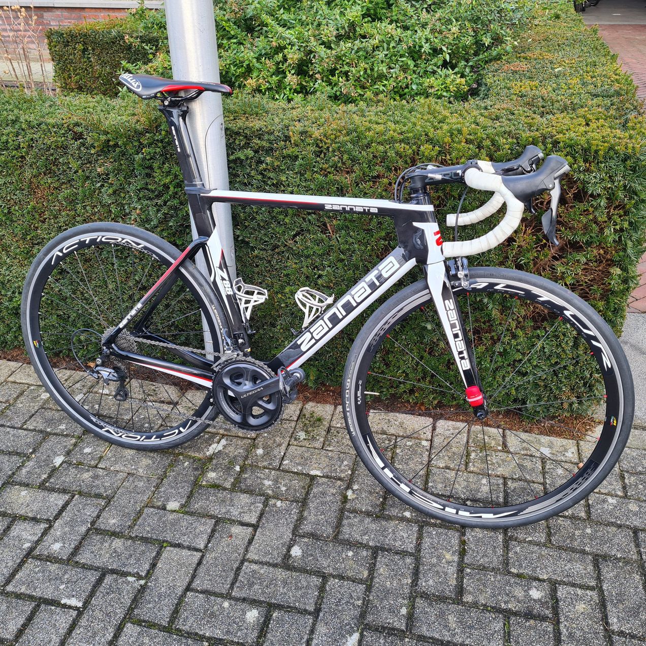 Zannata Z88 used in 56 cm | buycycle USA