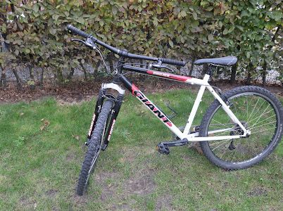 Giant Boulder used in S | buycycle USA