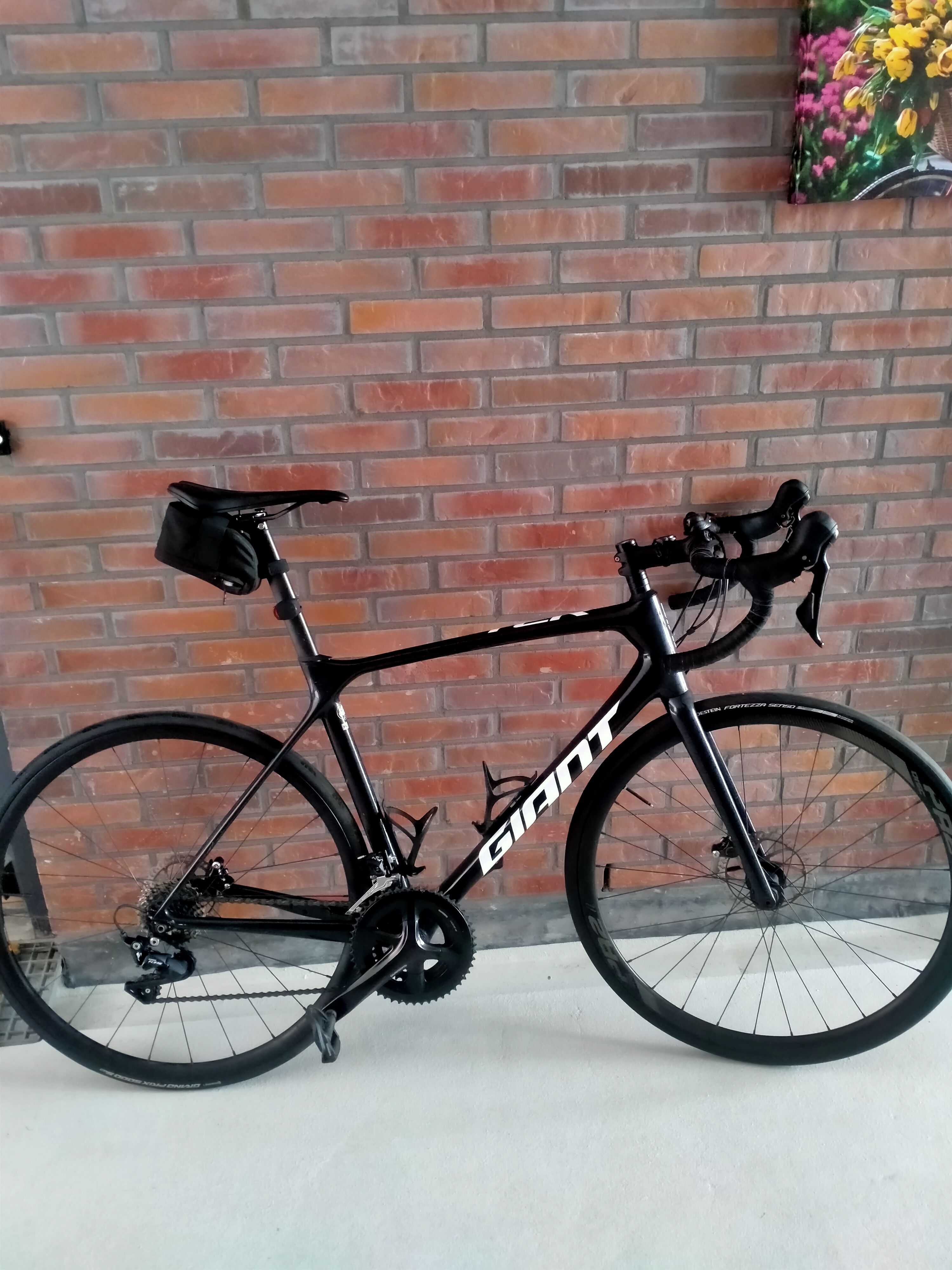 Giant TCR Advanced 2 Disc Pro Compact used in L | buycycle USA