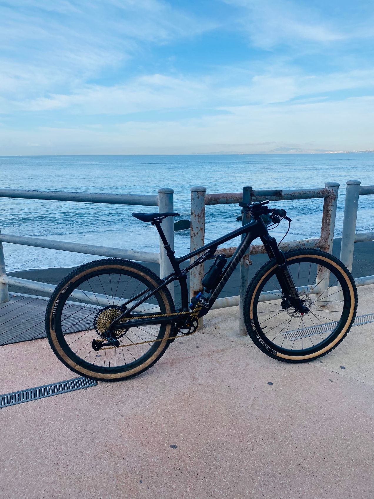 Specialized Evo expert used in 54 cm | buycycle USA