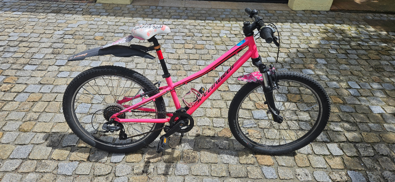 Specialized Hotrock 24 used in 44 cm | buycycle UK