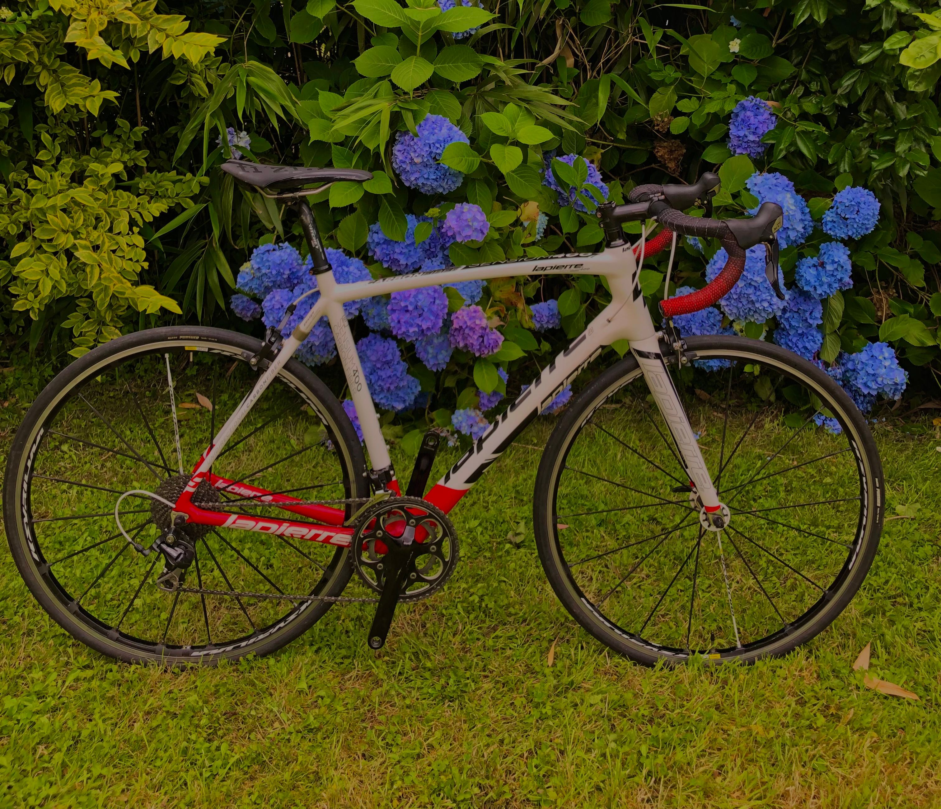 Lapierre Sensium 400 used in 55 cm | buycycle USA