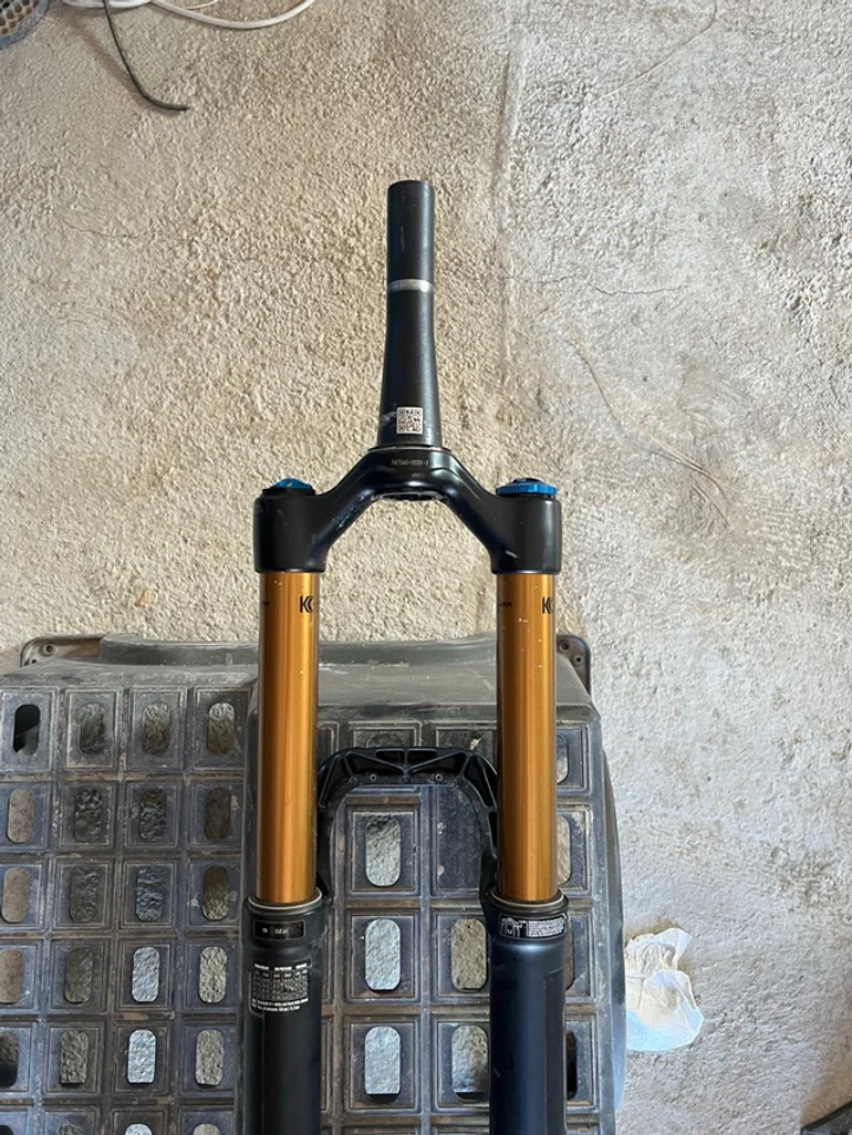 Fox Fox 36 Factory 2021