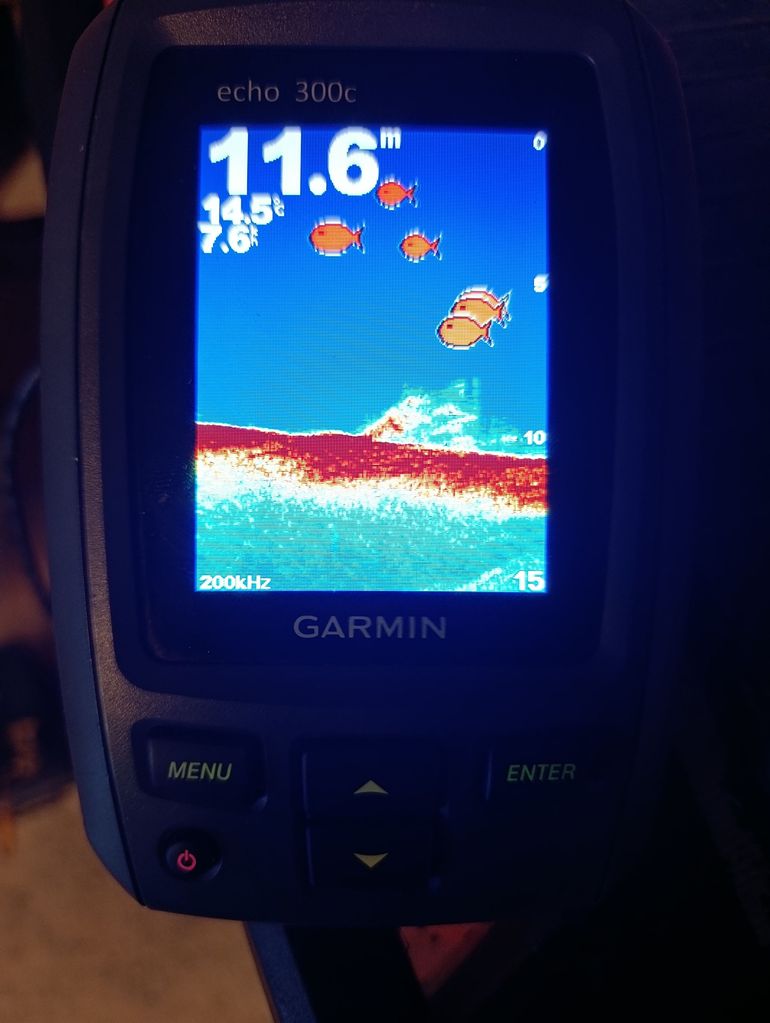 Garmin echo 300c
