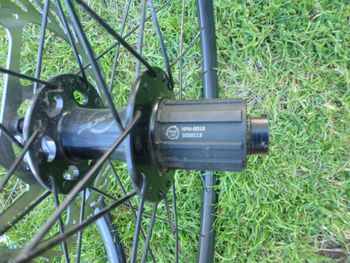 Specialized Axis Elite Disc 2024